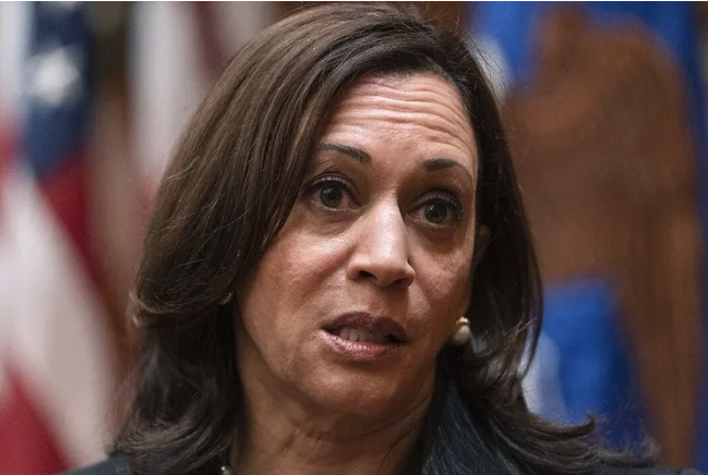 Musk Comments On Harris Social Media Post - Patriot Newsfeed